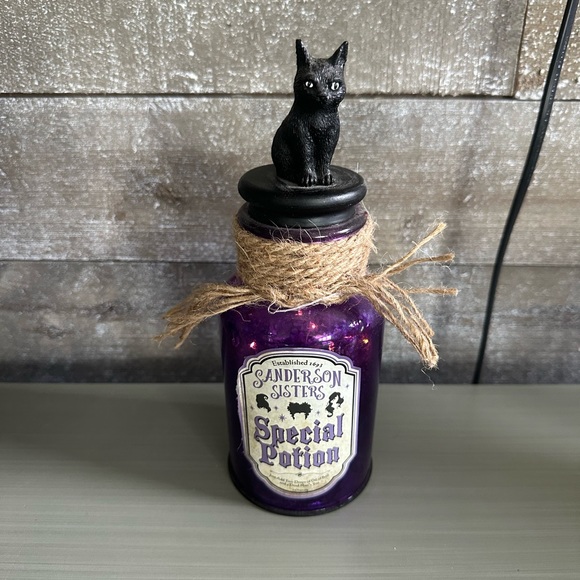 Spirit of Halloween | Holiday | Hocus Pocus Binx The Cat Light Up ...